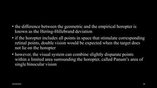 Binocular vision | PDF