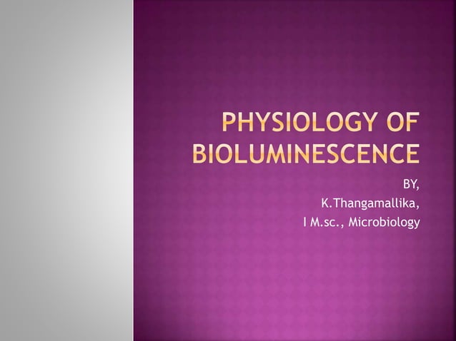 Physiology of bioluminescence | PPTX | Chemistry | Science