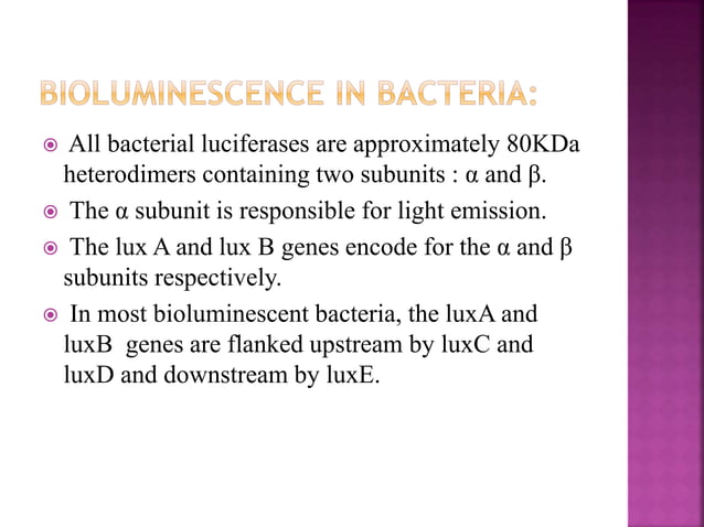 Physiology of bioluminescence | PPTX | Chemistry | Science