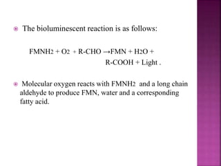 Physiology of bioluminescence | PPTX