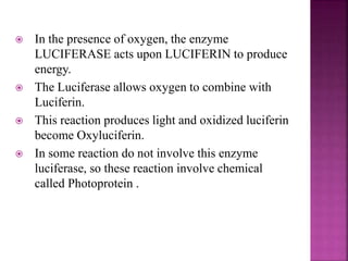 Physiology of bioluminescence | PPTX