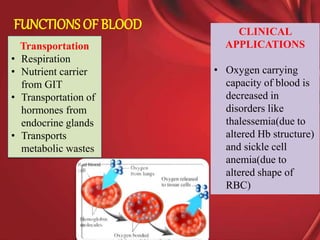 Physiology of blood | PPTX