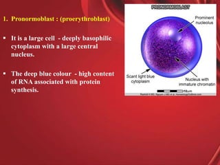 Physiology of blood | PPTX