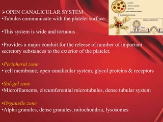 Physiology of blood | PPTX