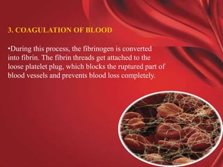 Physiology of blood | PPTX