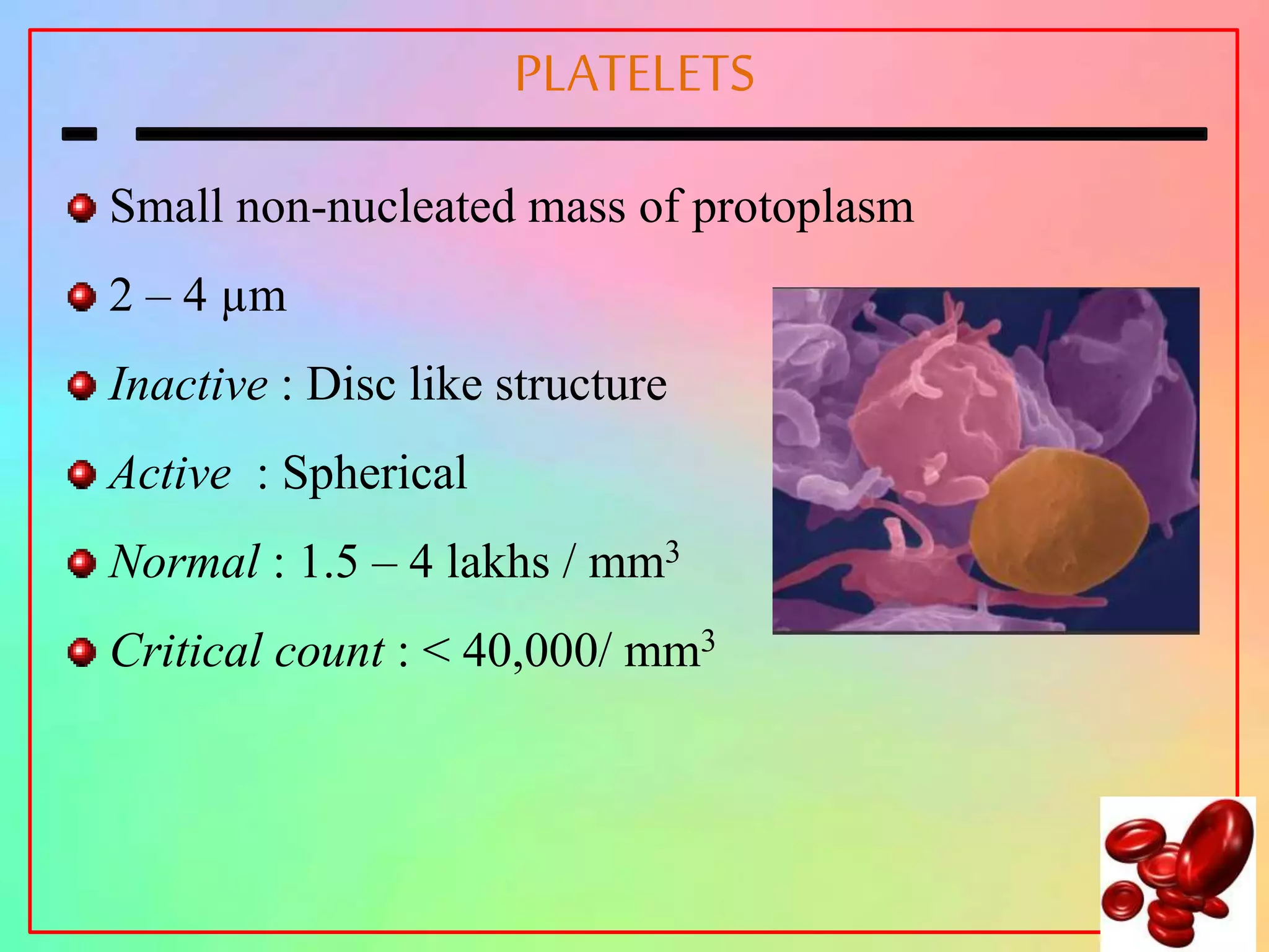 Physiology of blood ppt | PPTX