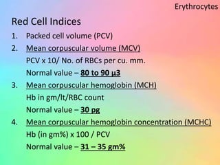 Physiology of blood ppt | PPTX