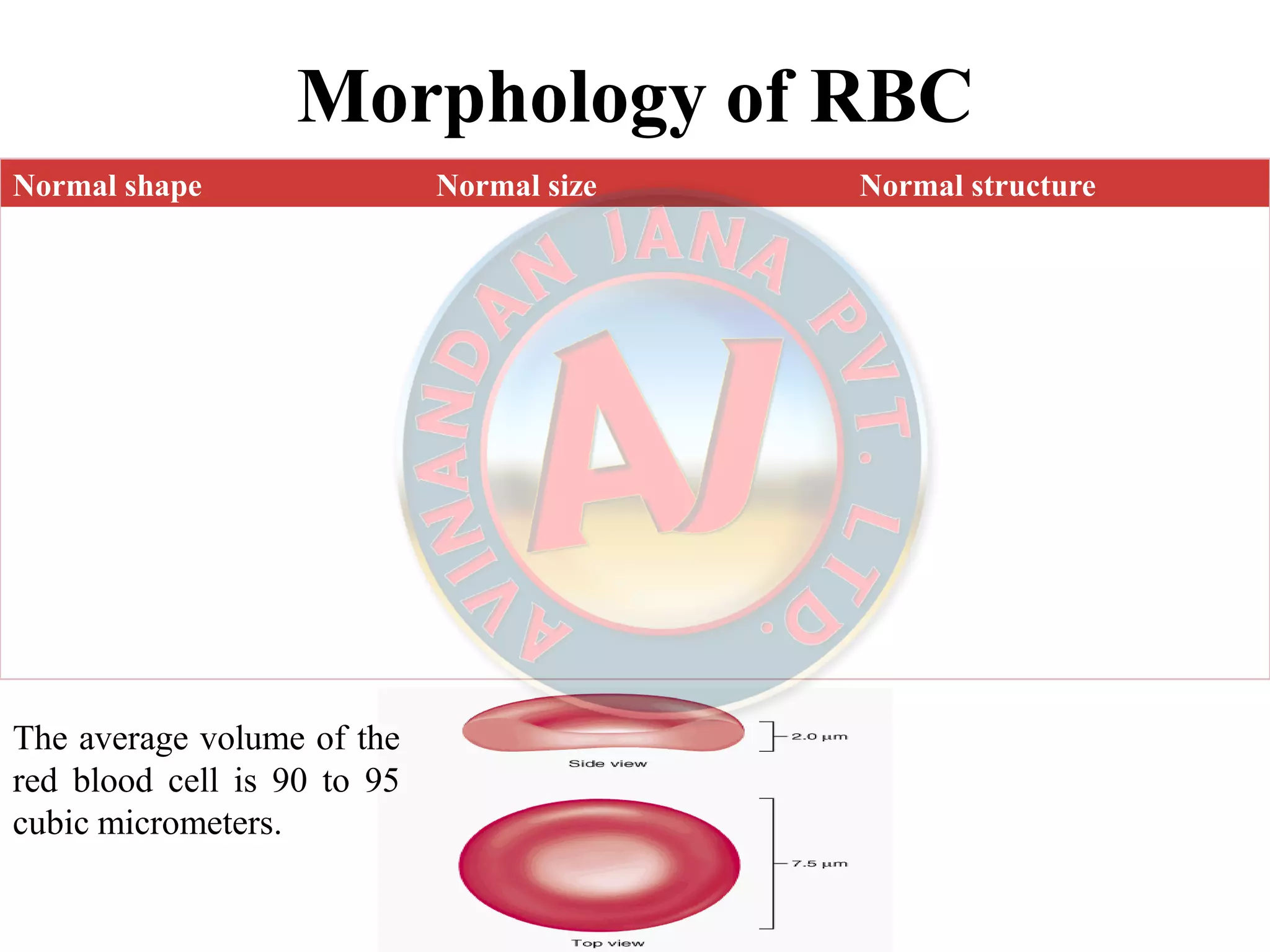 Blood (RBC, WBC, PLATELET) | PDF