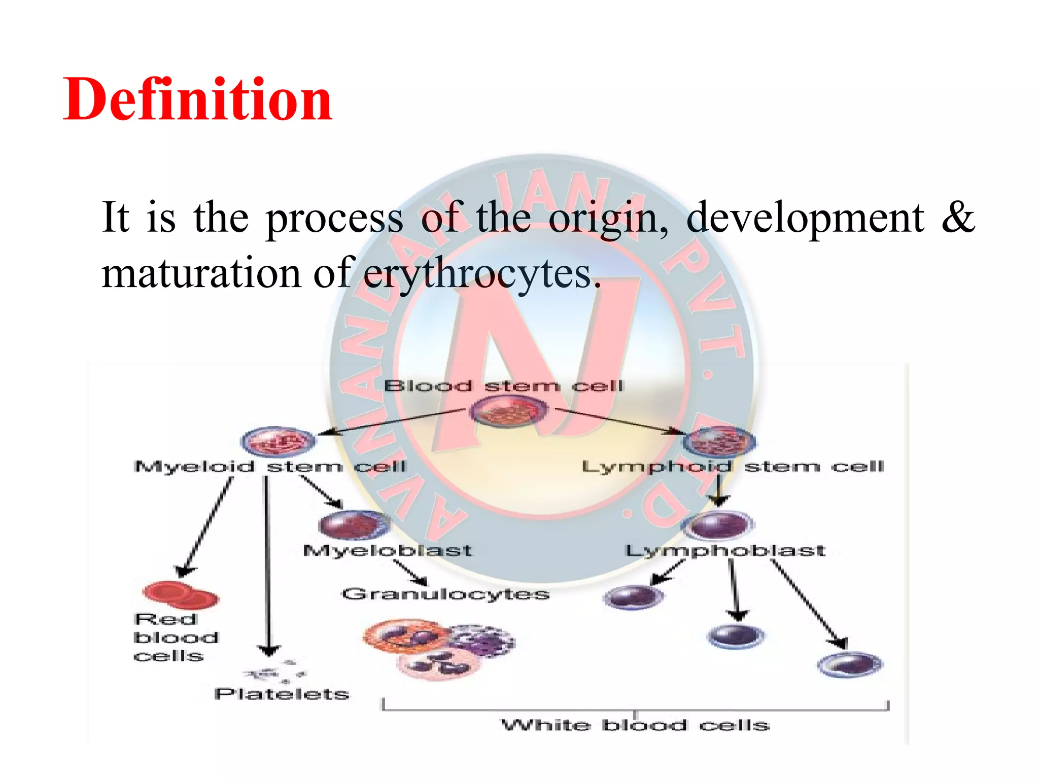 Blood (RBC, WBC, PLATELET) | PDF