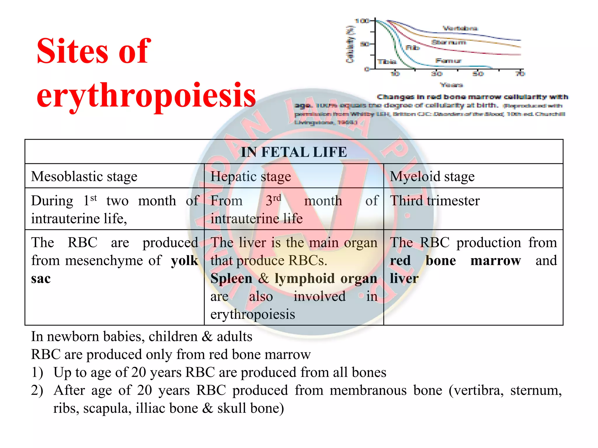 Blood (RBC, WBC, PLATELET) | PDF