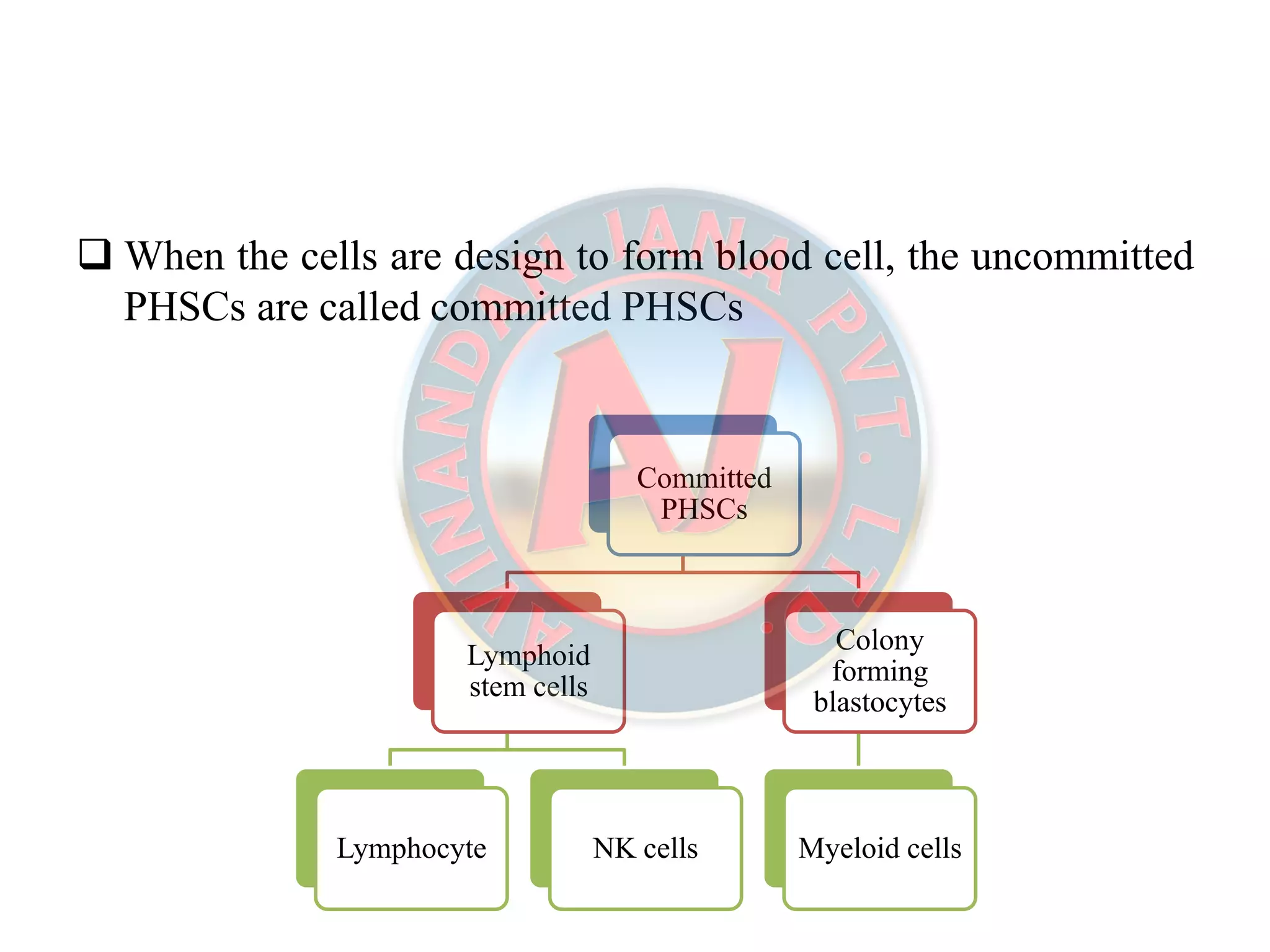 Blood (RBC, WBC, PLATELET) | PDF