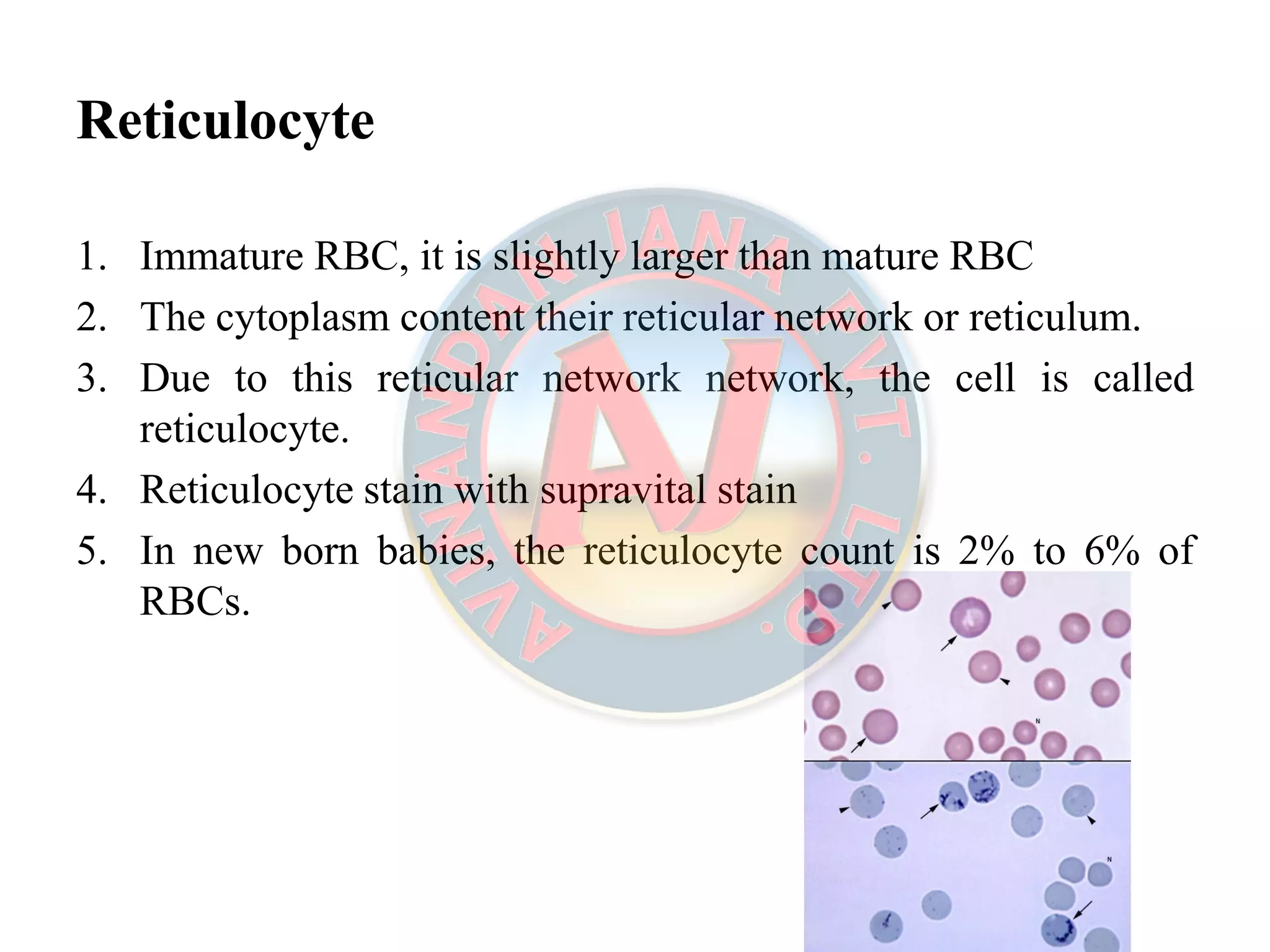 Blood (RBC, WBC, PLATELET) | PDF