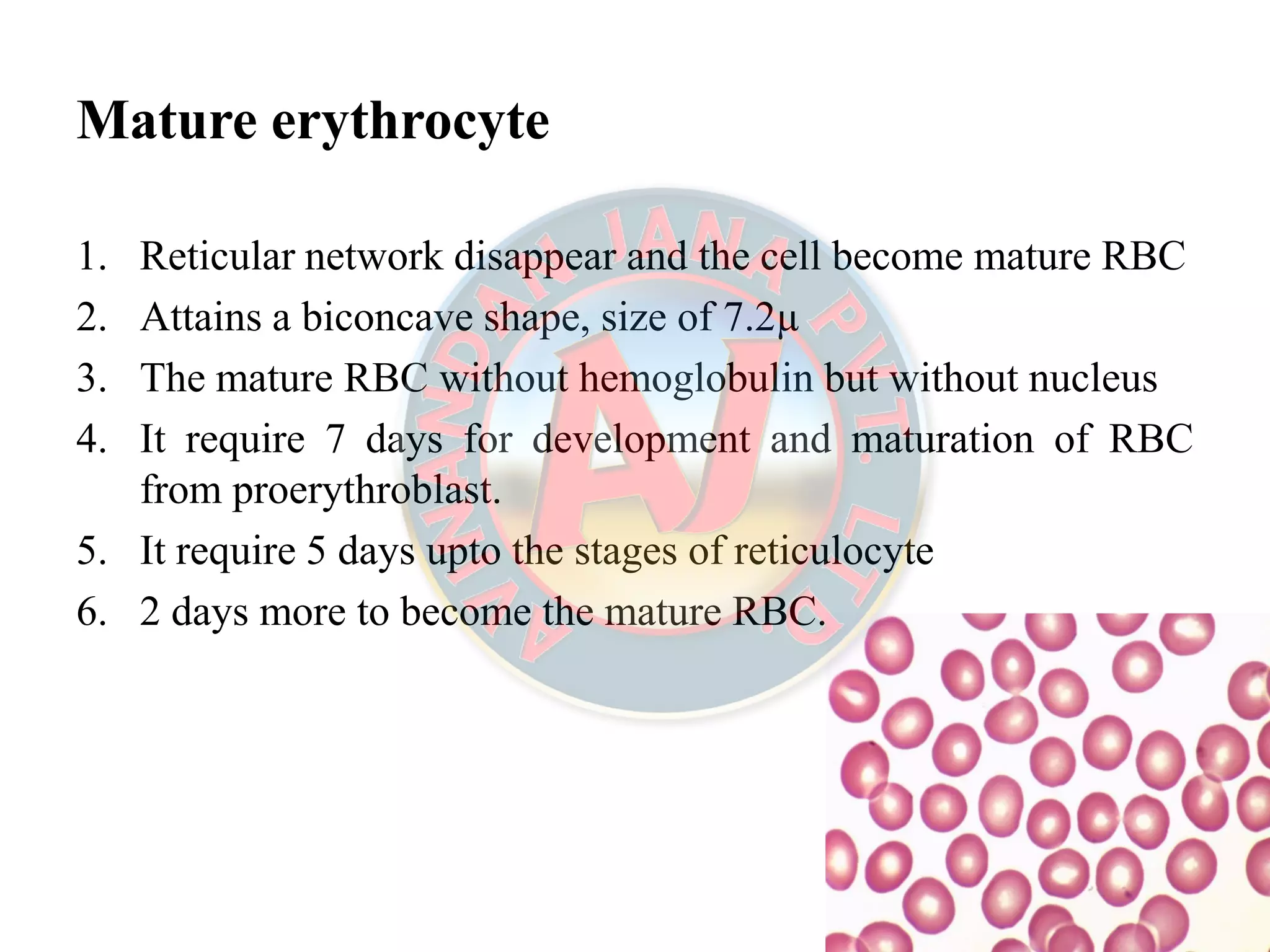 Blood (RBC, WBC, PLATELET) | PDF