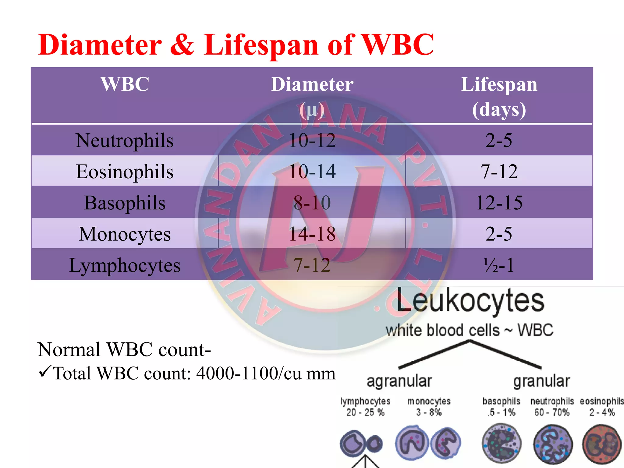 Blood (RBC, WBC, PLATELET) | PDF