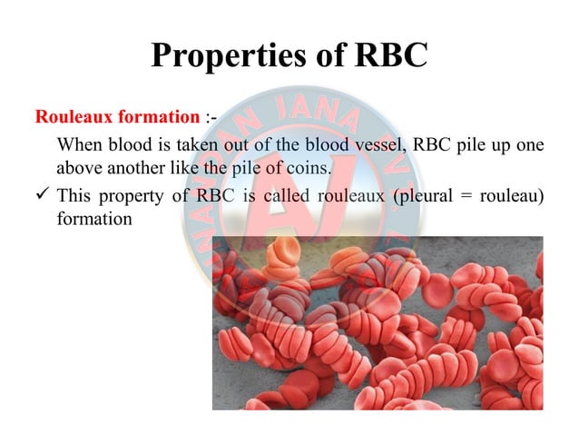 Blood (RBC, WBC, PLATELET)