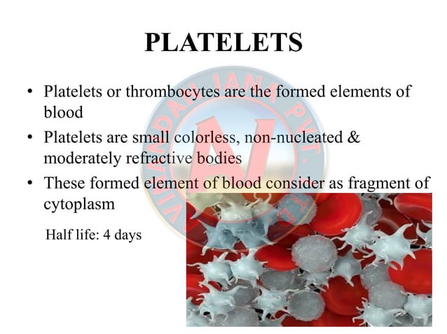Blood (RBC, WBC, PLATELET)