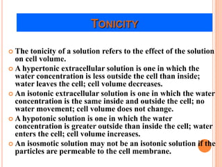 Physiology of blood ppt | PPTX
