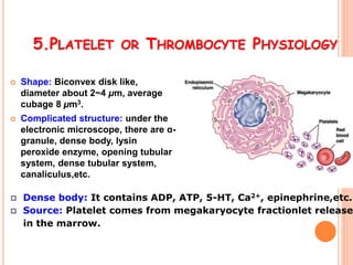 Physiology of blood ppt | PPTX