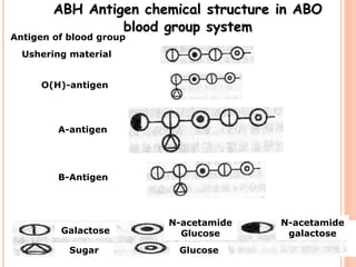 Physiology of blood ppt | PPTX