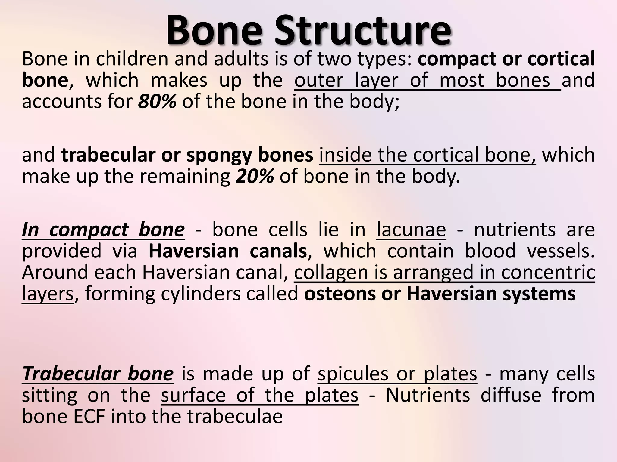 Physiology of bone | PPTX