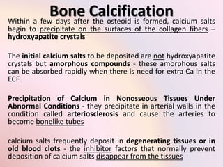Physiology of bone | PPTX