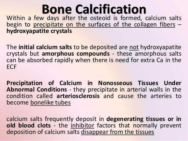 Physiology of bone