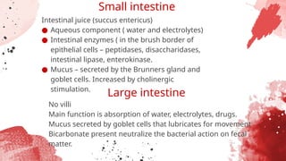 physiology of bowel.pptx for surgery and physiology review | PPT
