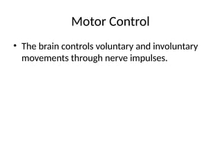 Comprehensive Overview of Brain Physiology and Functions | PPTX