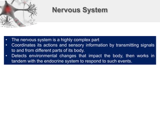 Physiology of brain & spinal cord.pptx