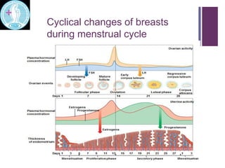 Physiology of breast | PPTX