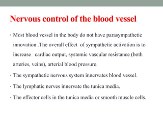 CARDIOVASCULAR/CIRCULATORY SYSTEM | PPT