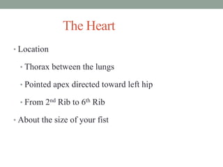 CARDIOVASCULAR/CIRCULATORY SYSTEM | PPT