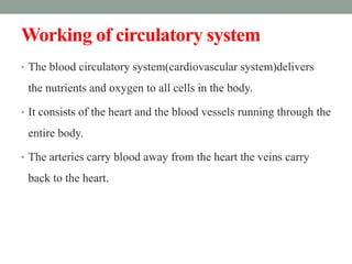 CARDIOVASCULAR/CIRCULATORY SYSTEM | PPT