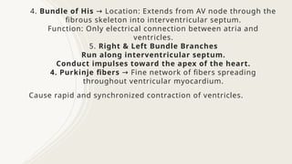 physiology of cardiac muscle by ahs.pptx