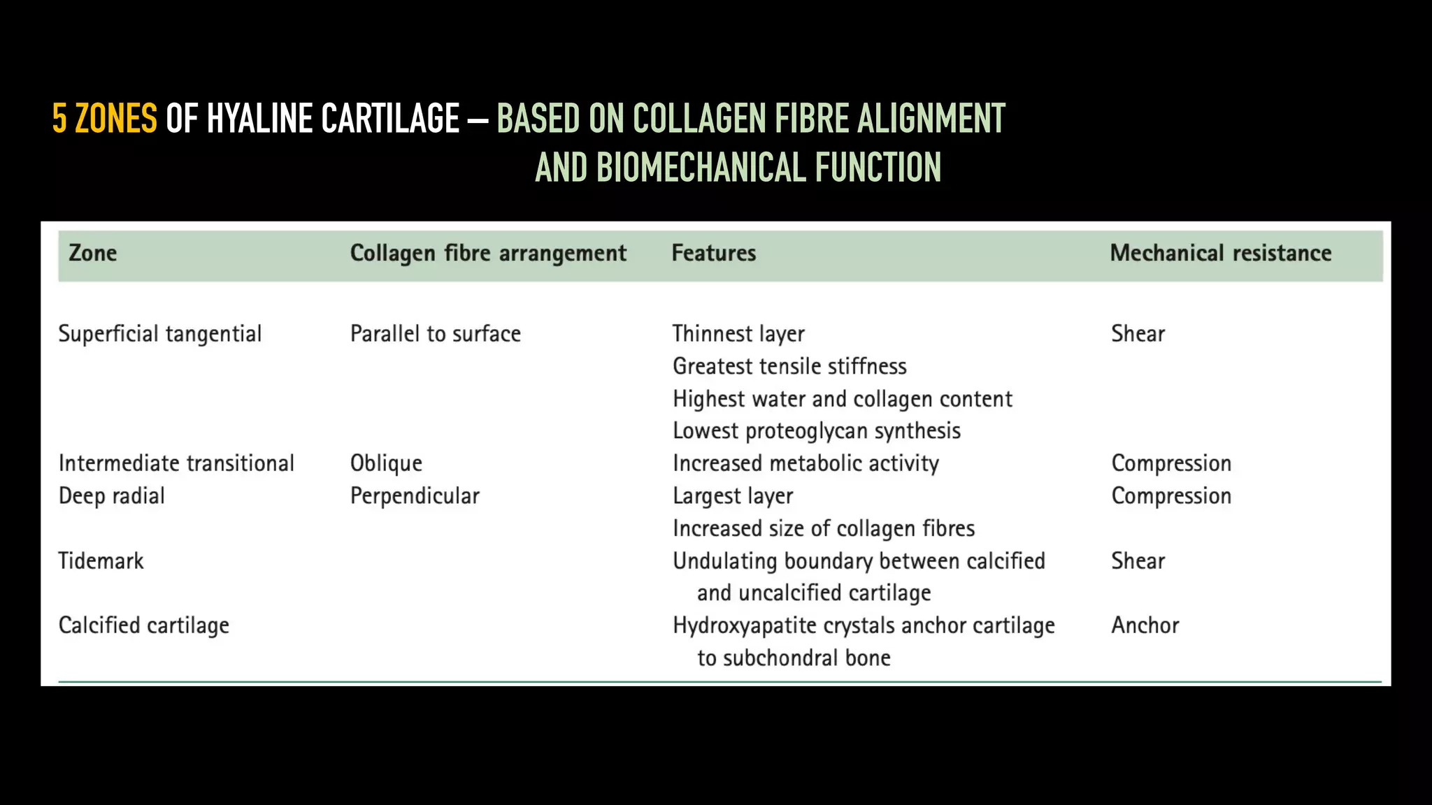 PHYSIOLOGY OF CARTILAGE, COLLAGEN, TENDON, MUSCLE.pdf