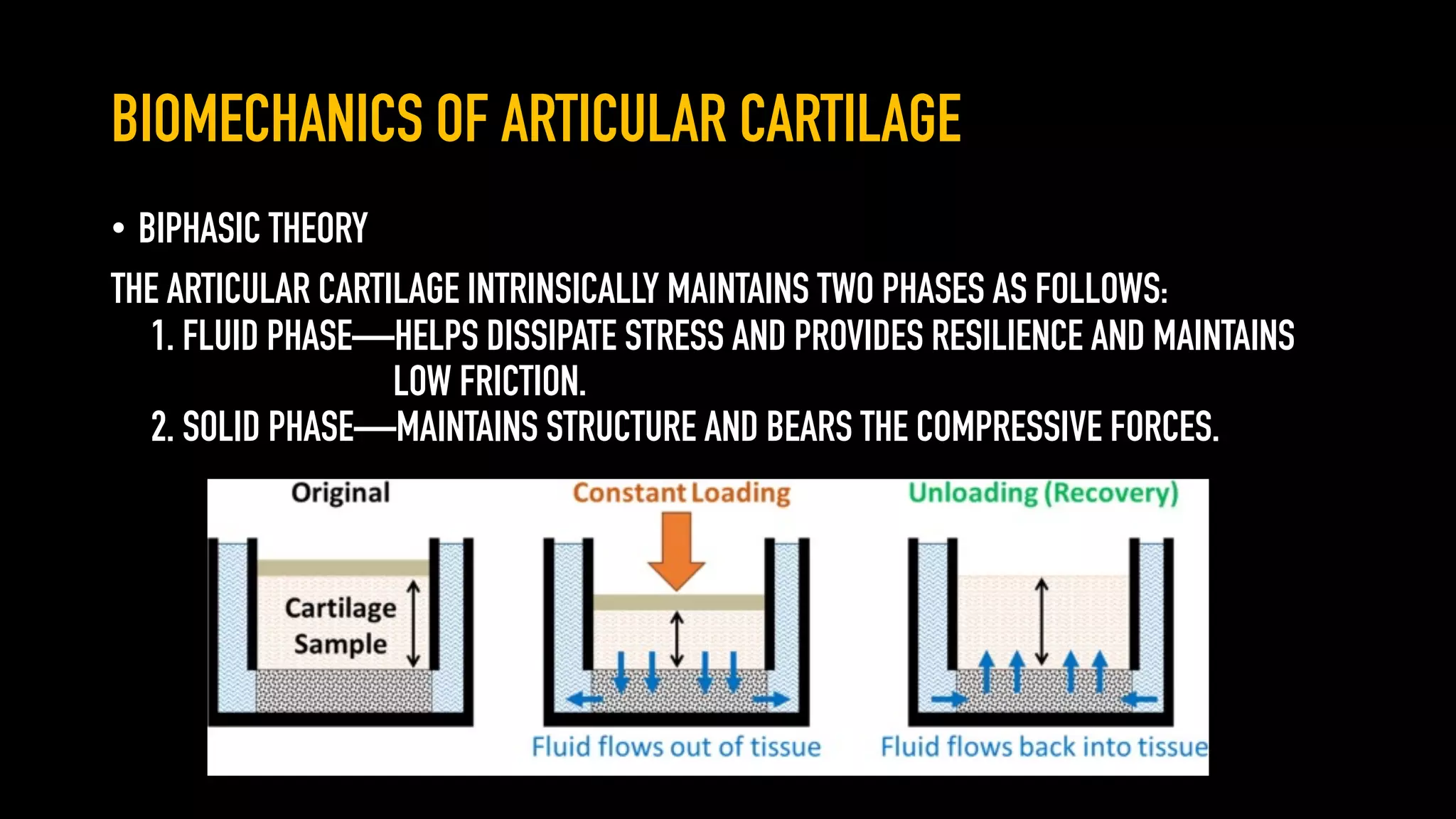 PHYSIOLOGY OF CARTILAGE, COLLAGEN, TENDON, MUSCLE.pdf