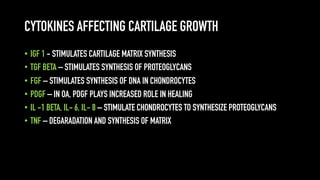 PHYSIOLOGY OF CARTILAGE, COLLAGEN, TENDON, MUSCLE.pdf