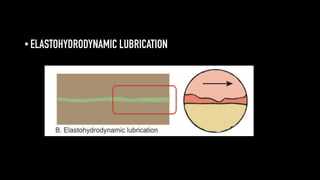 PHYSIOLOGY OF CARTILAGE, COLLAGEN, TENDON, MUSCLE.pdf