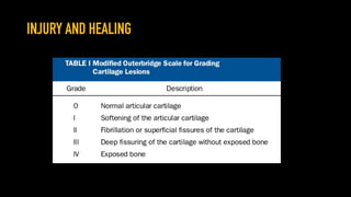 PHYSIOLOGY OF CARTILAGE, COLLAGEN, TENDON, MUSCLE.pdf