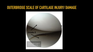 PHYSIOLOGY OF CARTILAGE, COLLAGEN, TENDON, MUSCLE.pdf