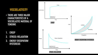 PHYSIOLOGY OF CARTILAGE, COLLAGEN, TENDON, MUSCLE.pdf
