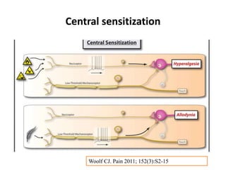 Basics of Chronic Pain - Dr Venugopal Kochiyil | PPT