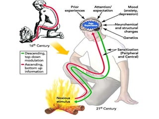Basics of Chronic Pain - Dr Venugopal Kochiyil | PPT
