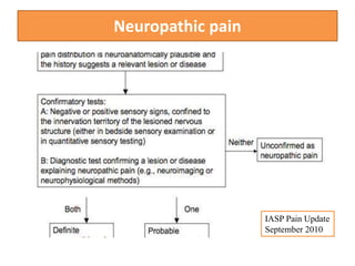Basics of Chronic Pain - Dr Venugopal Kochiyil | PPT