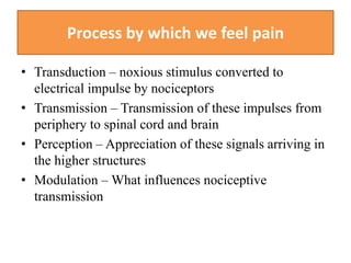 Basics of Chronic Pain - Dr Venugopal Kochiyil | PPT