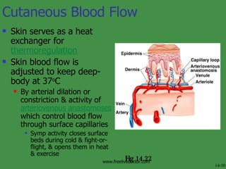 Physiology Of Circulation | PPT