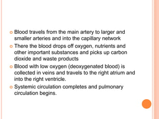 Physiology of circulation | PPT