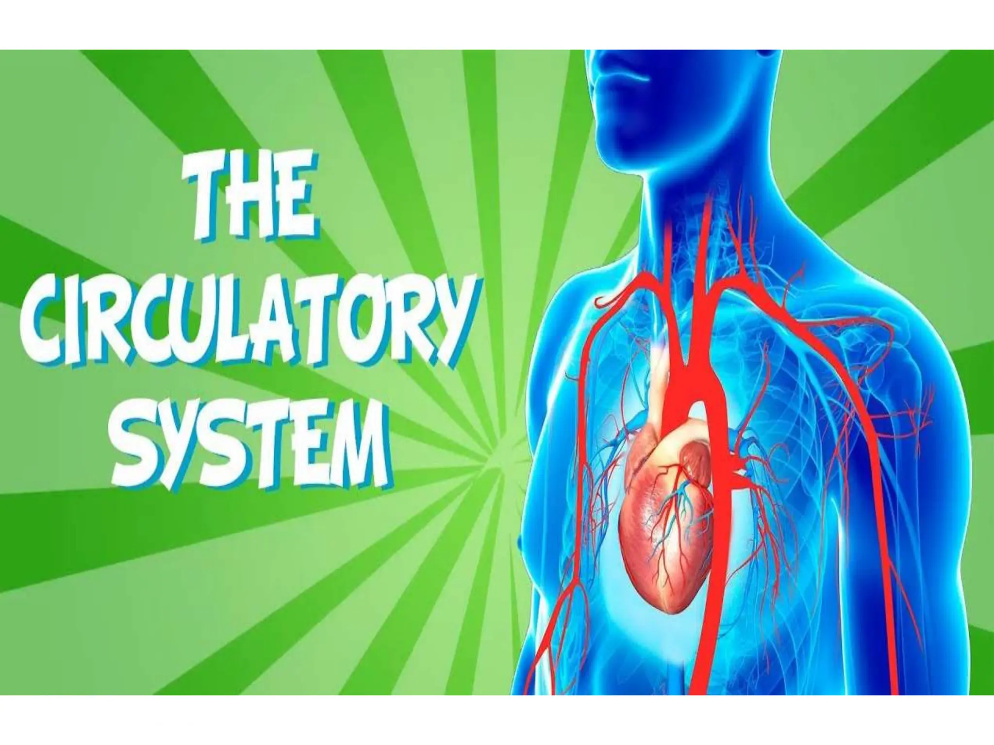 Physiology of Circulatory System for bsc nursing.pptx