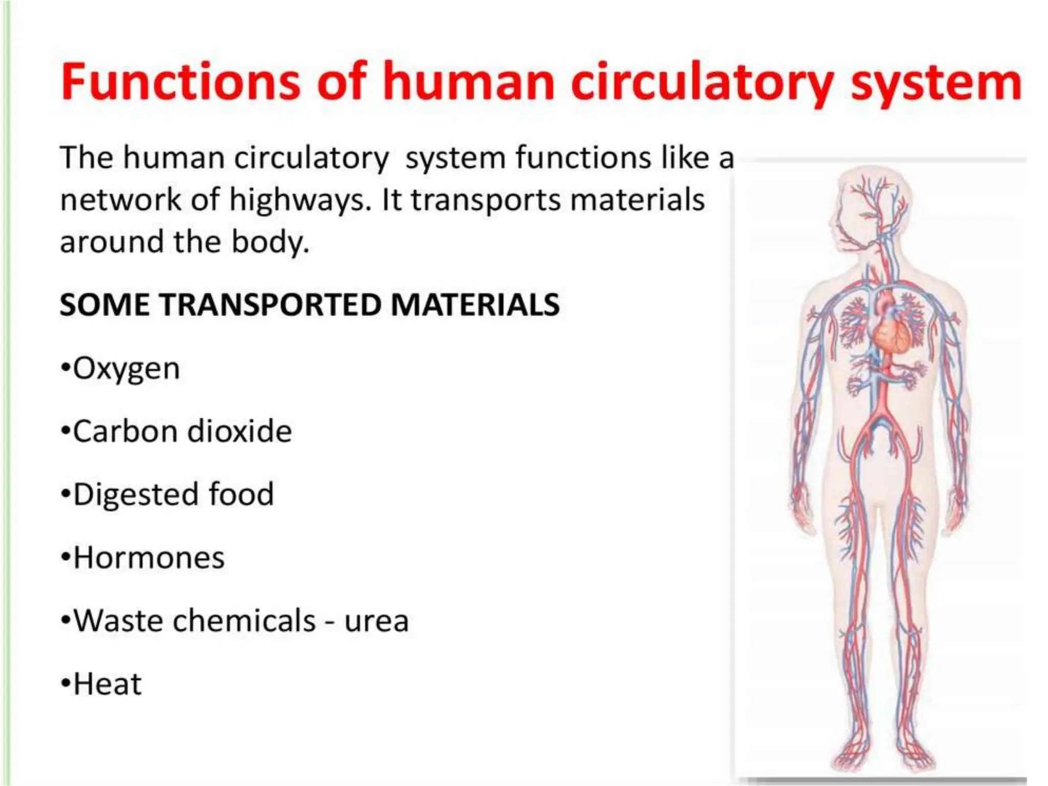 Physiology of Circulatory System for bsc nursing.pptx