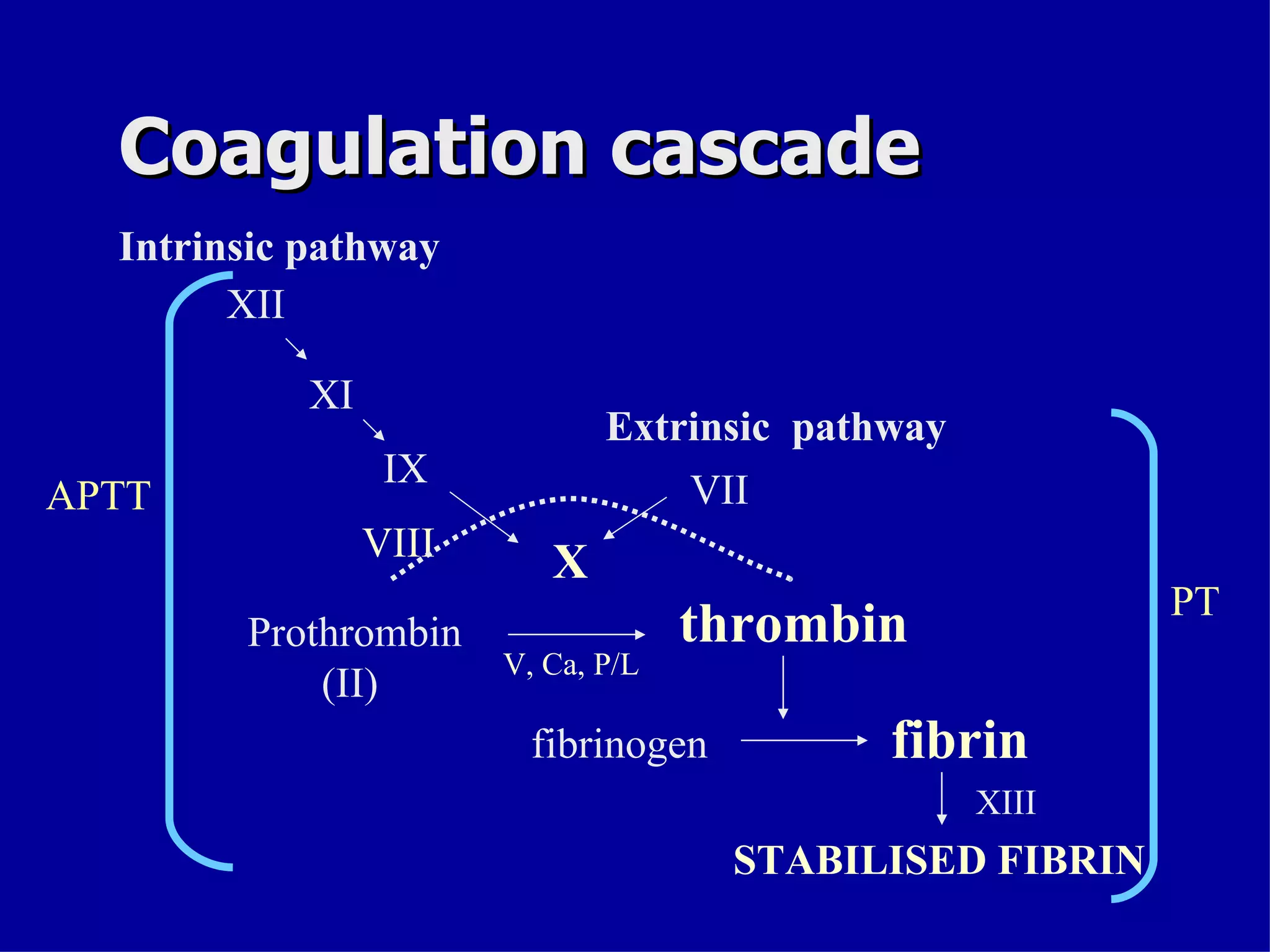 Physiologyof Coagulation | PPT